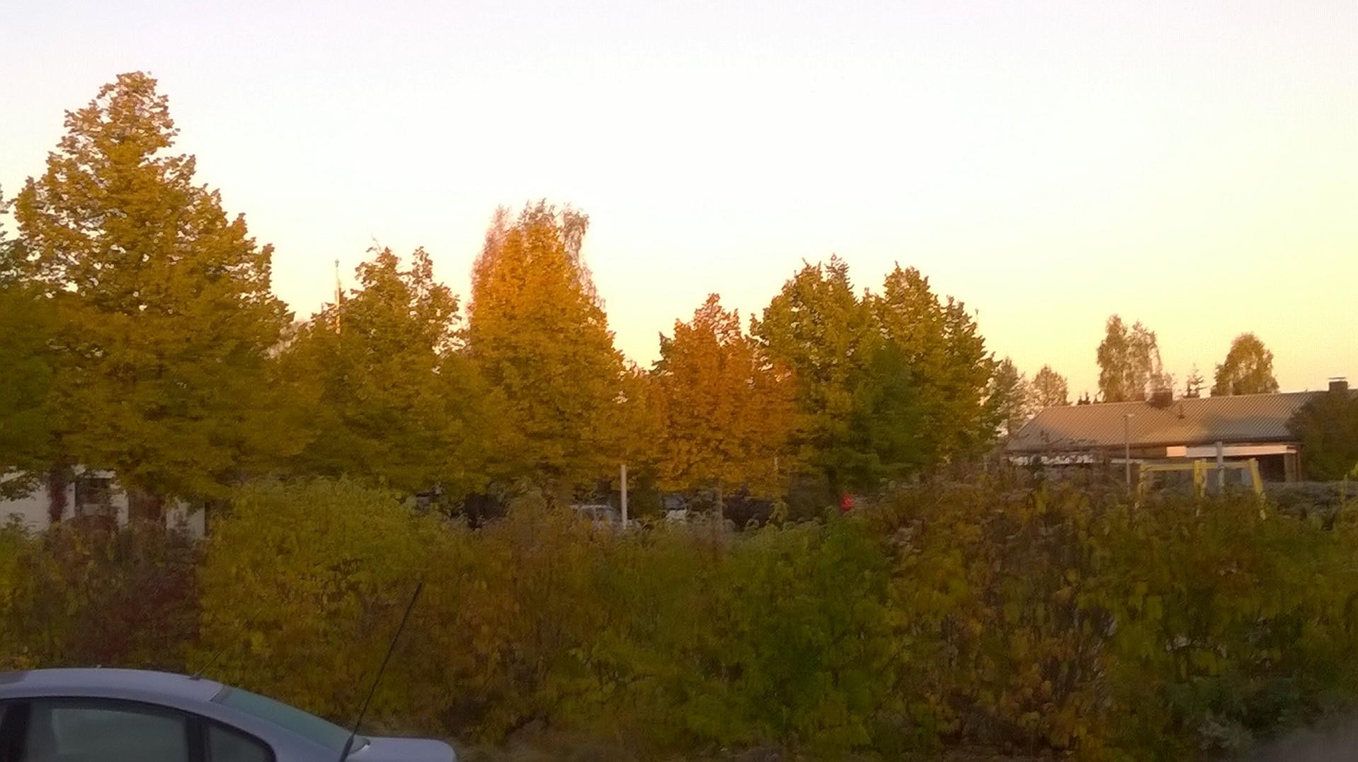 Travelling turf - what is is about?