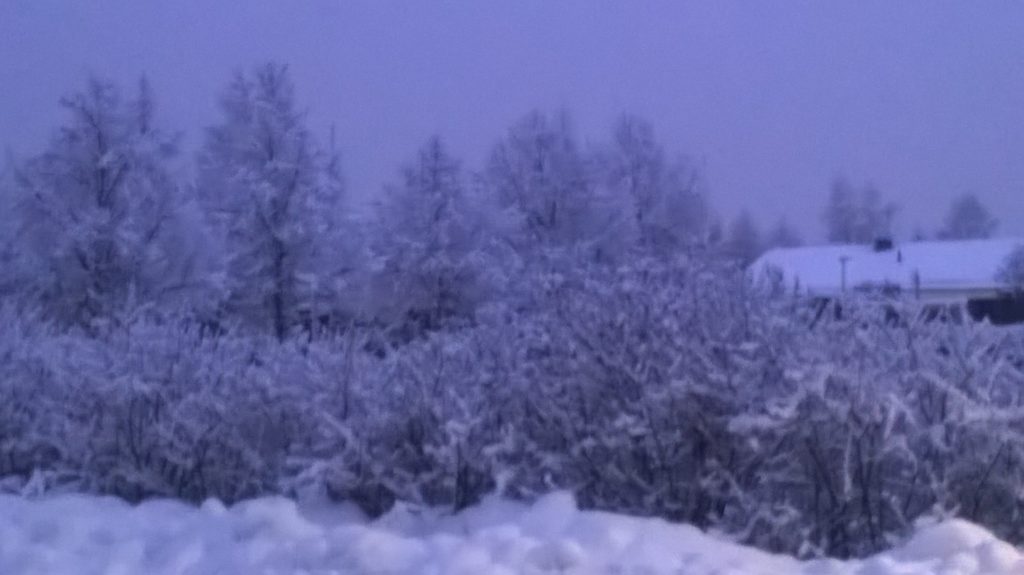 Travelling turf - what is is about?